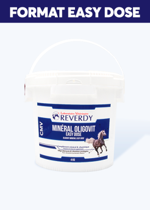 CMV pour cheval (Minéraux & Vitamines) - Reverdy