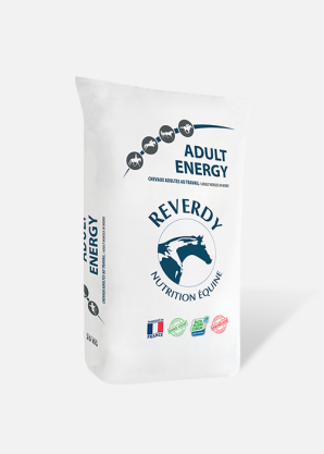 Adult - Reverdy