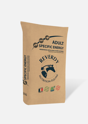 Adult - Reverdy