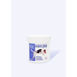 Flexy Dog for dogs 200g - Reverdy
