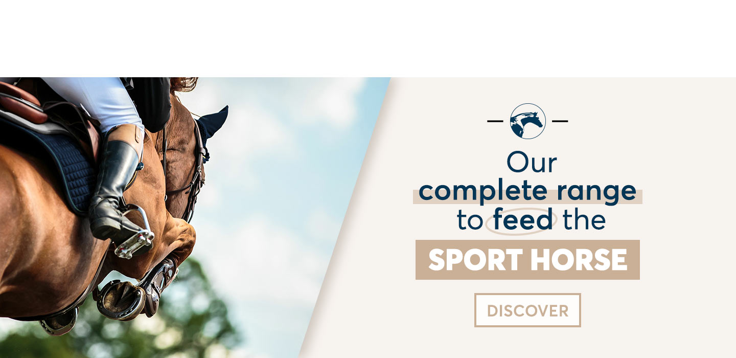Equine Nutrition - Reverdy