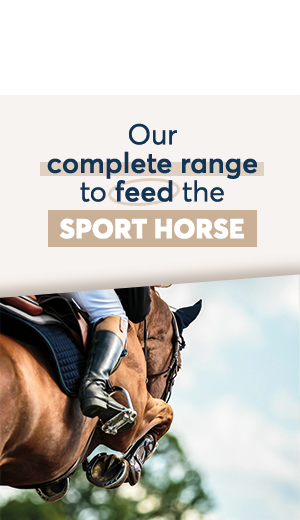 Equine Nutrition - Reverdy