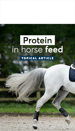 Equine Nutrition - Reverdy