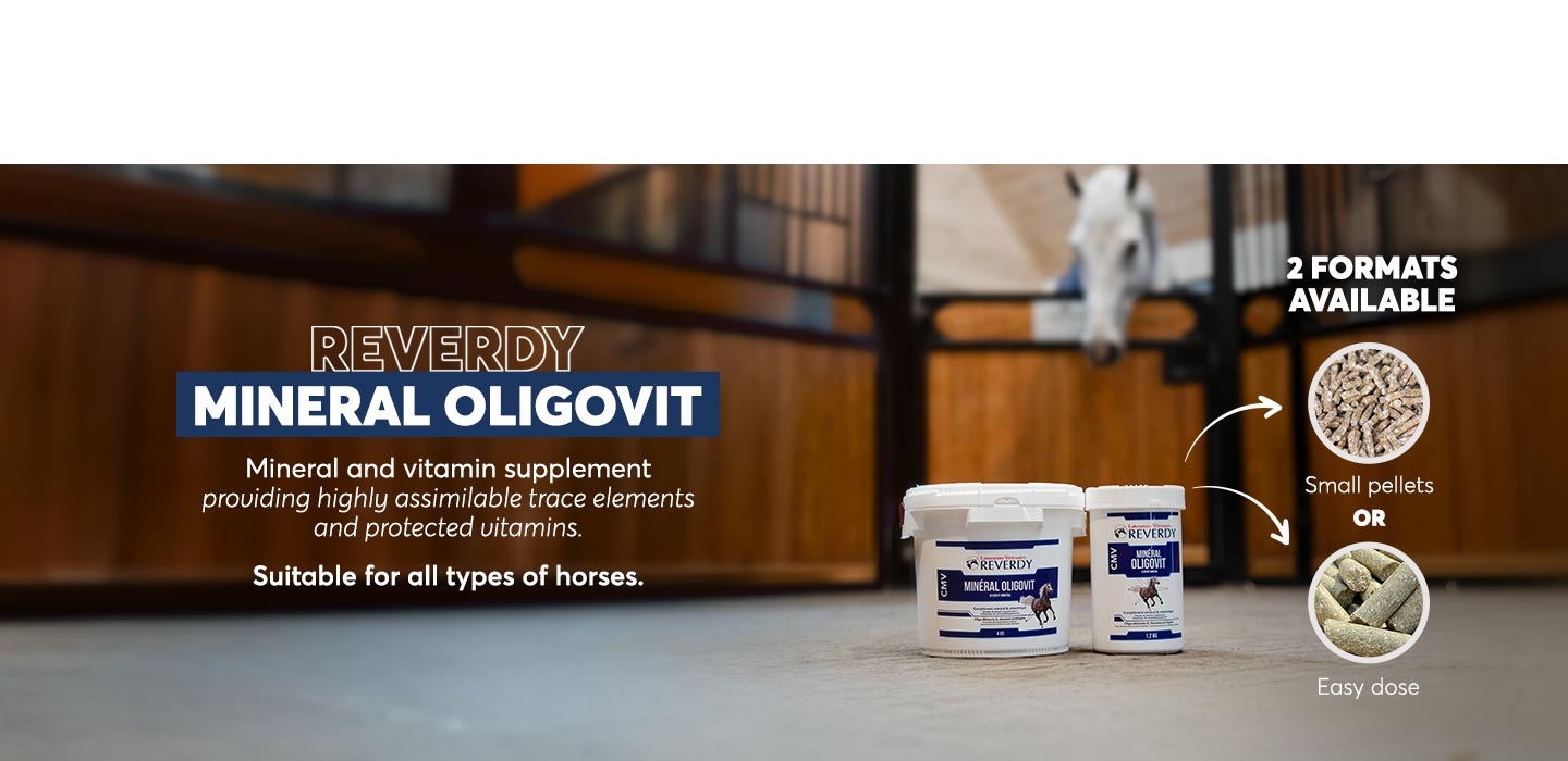 Equine Nutrition - Reverdy