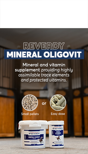 Equine Nutrition - Reverdy