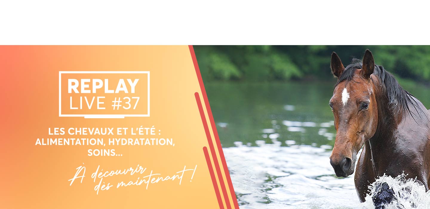 Reverdy Nutrition Equine - Une obsession, la qualité ! - Reverdy