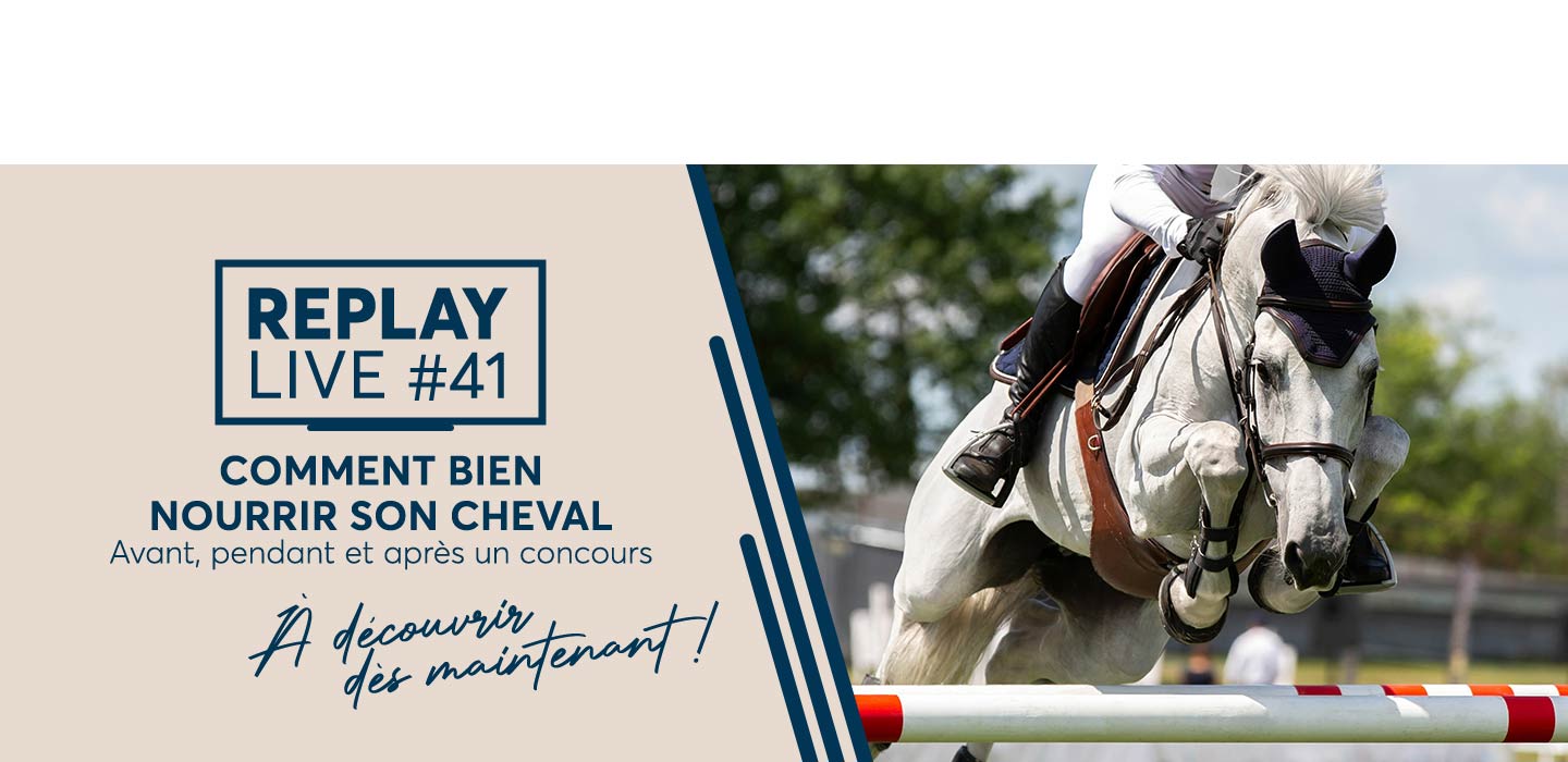 Reverdy Nutrition Equine - Une obsession, la qualité ! - Reverdy