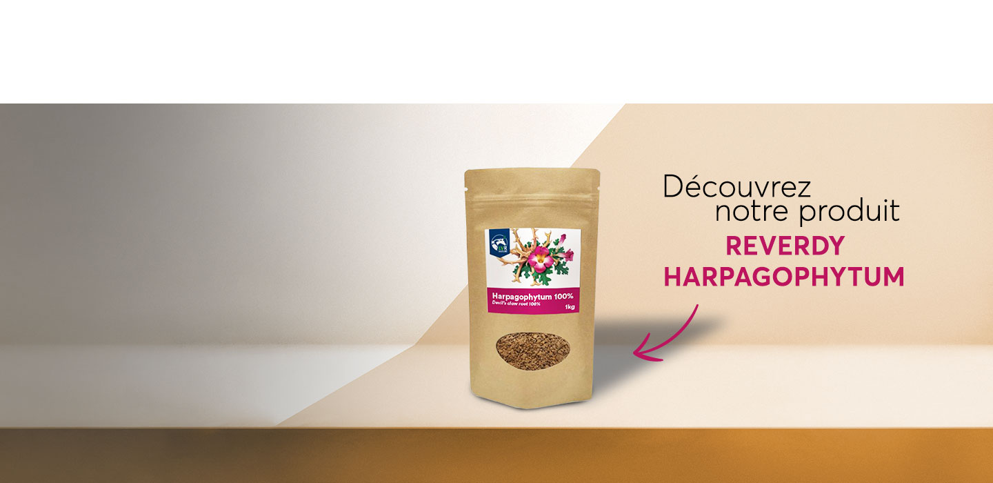 Reverdy Nutrition Equine - Une obsession, la qualité ! - Reverdy