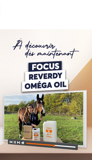 Equine Nutrition - Reverdy