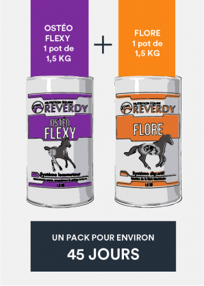 Equine Nutrition - Reverdy