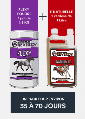 Equine Nutrition - Reverdy