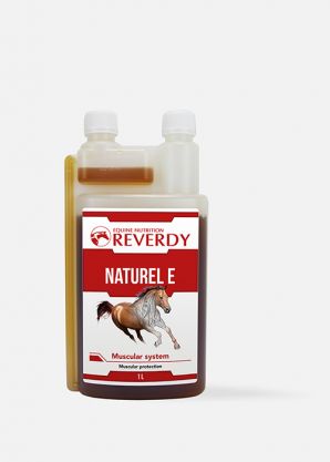 Equine Nutrition - Reverdy