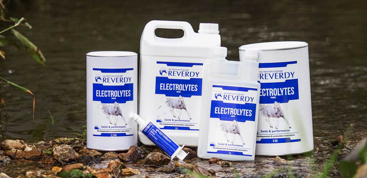 Nutrition Équine - Aliments Cheval en Ligne / Équipement - Reverdy