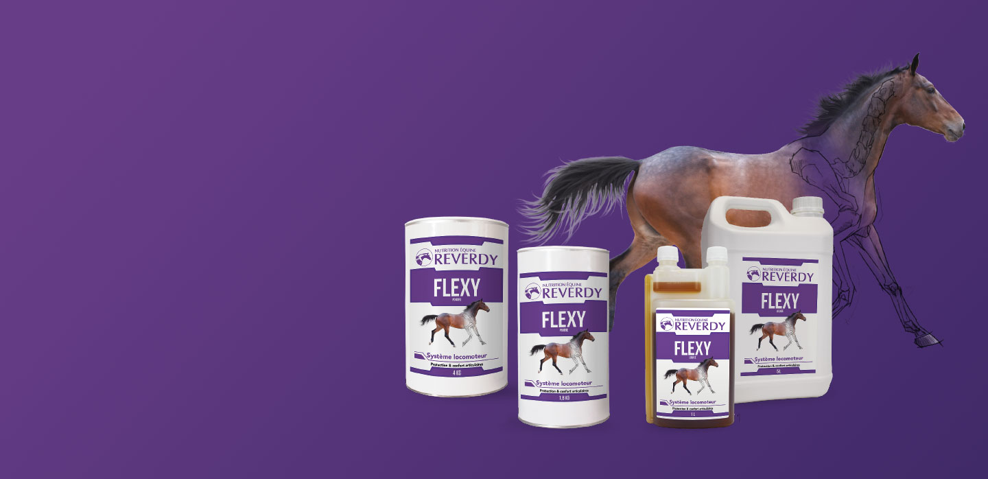 Nutrition Équine - Aliments Cheval en Ligne / Équipement - Reverdy